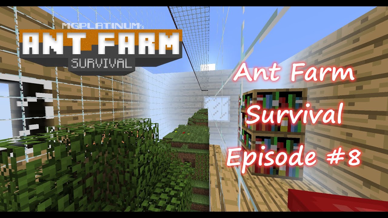 Minecraft ant farm survival 1-8 - militarylasopa