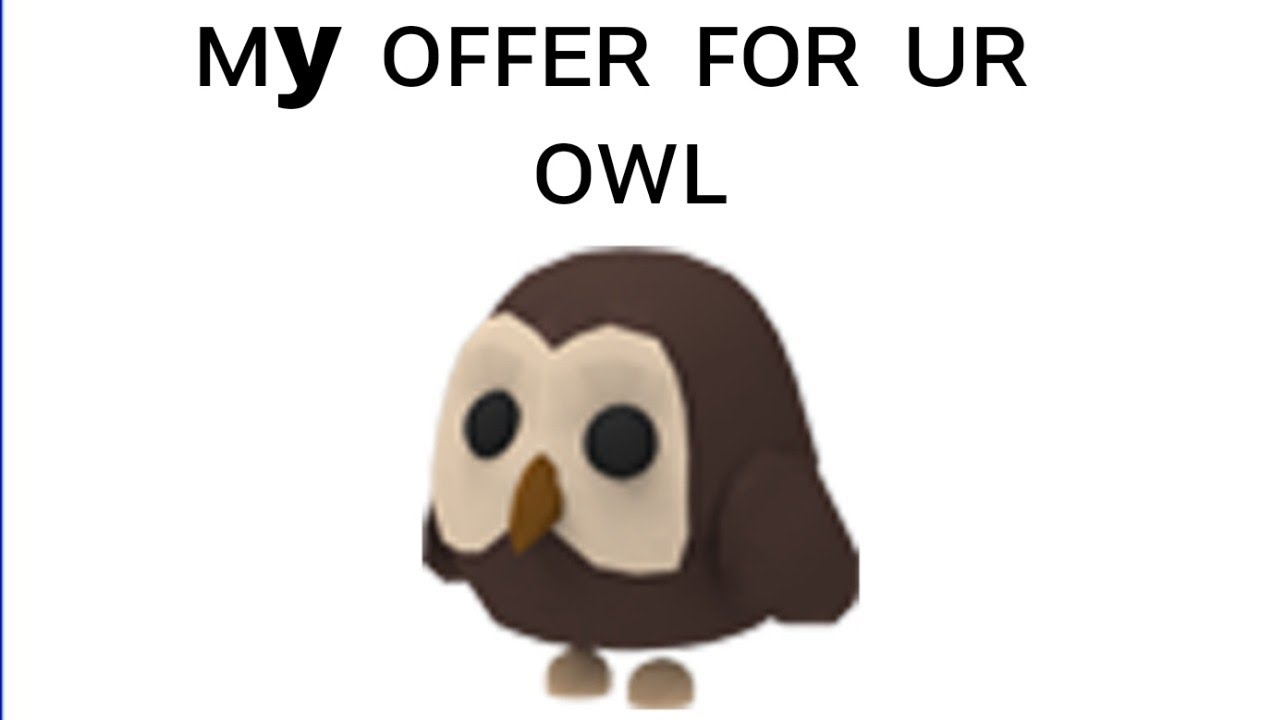 My offer for ur fly ride or ride owl - YouTube