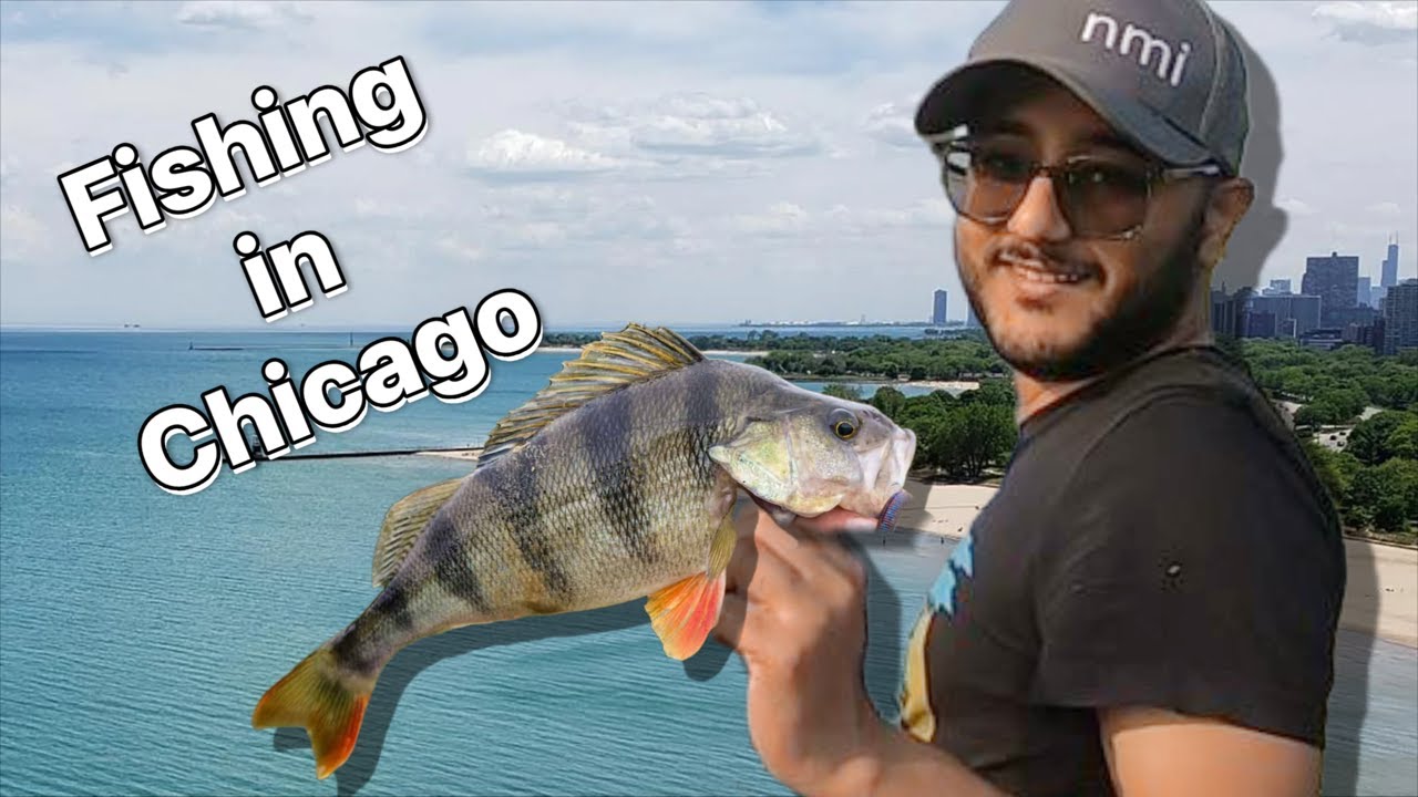 Fishing in Chicago | Catching GIANT Perch!!! - YouTube