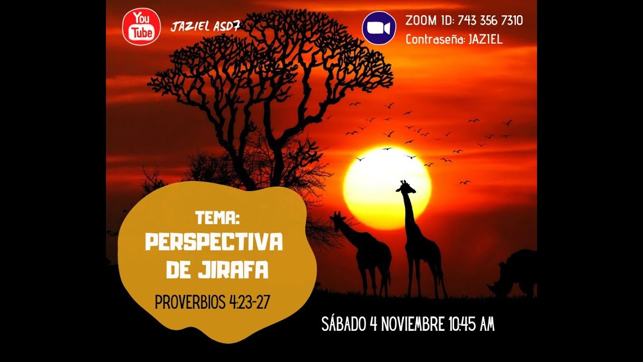 #653 PERSPECTIVA DE JIRAFA - YouTube