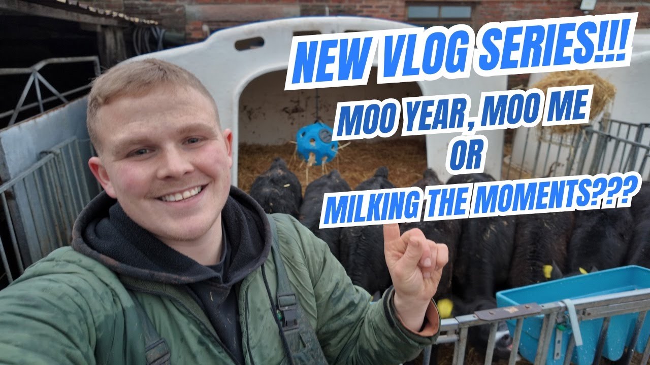NEW VLOG SERIES!!! MOO YEAR, MOO ME? OR MILKING THE MOMENTS? - YouTube