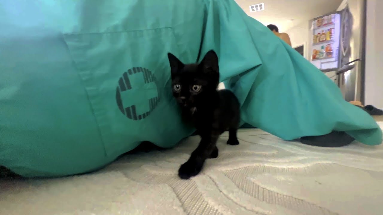 Meet The Newest YDN Member… - YouTube