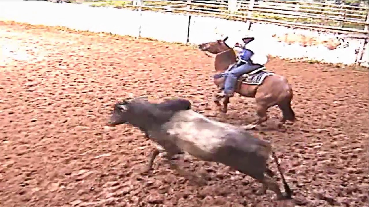 COLEO LLANERO COMPLETO - YouTube