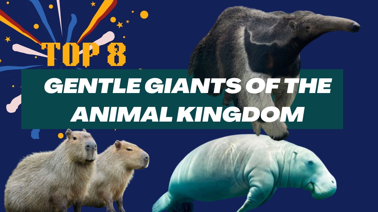 Top 8 | Gentle Giants of the Animal Kingdom | Friendly Giant Animals ...