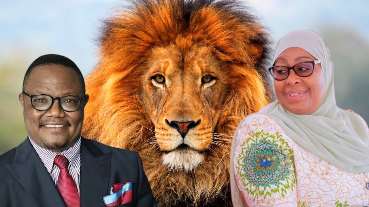 DUUH! RAIS SAMIA ATAKA SIMBA MKALI AITWE TUNDU LISSU, WATU HOI VICHEKO ...