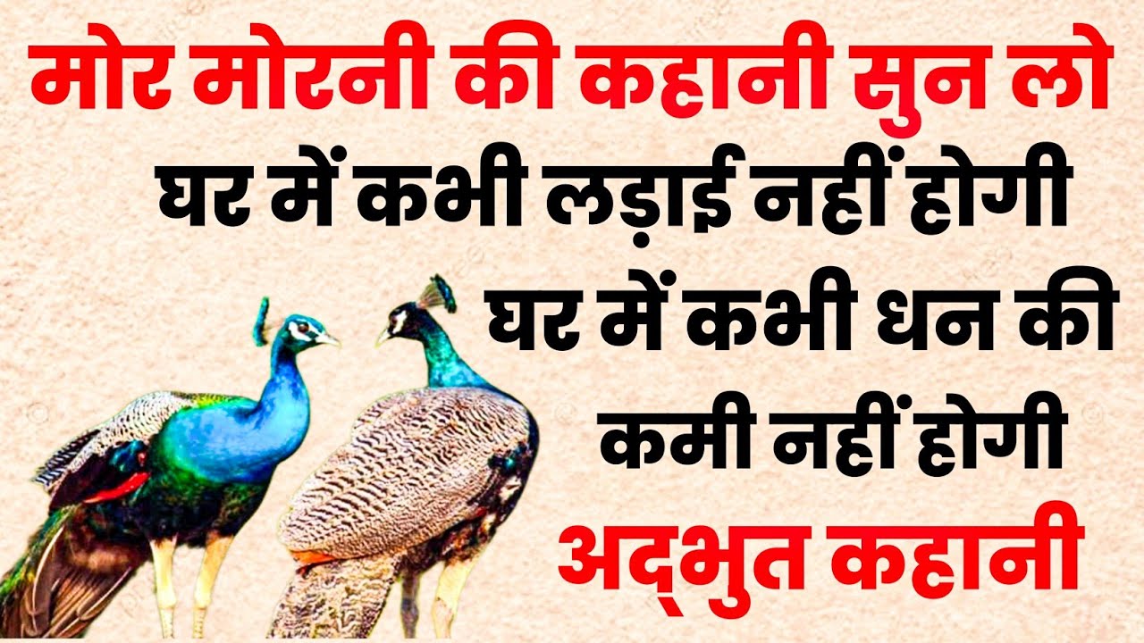 मोर मोरनी की बात ध्यान से सुन ली तो घर में कभी क्लेश नहीं होगा || mor ...