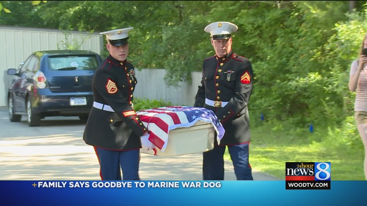 Family says goodbye to Marine war dog - YouTube