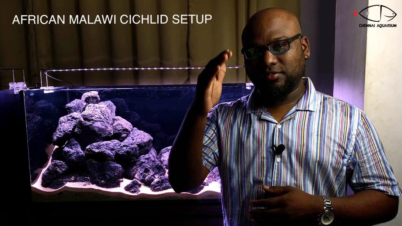 ROCKSCAPE TUTORIAL | AFRICAN CICHLIDS SETUP | LAKE MALAWI | CHENNAI ...