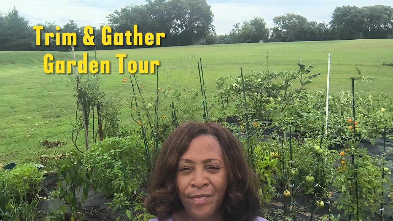 Trim & Gather Garden Tour - YouTube