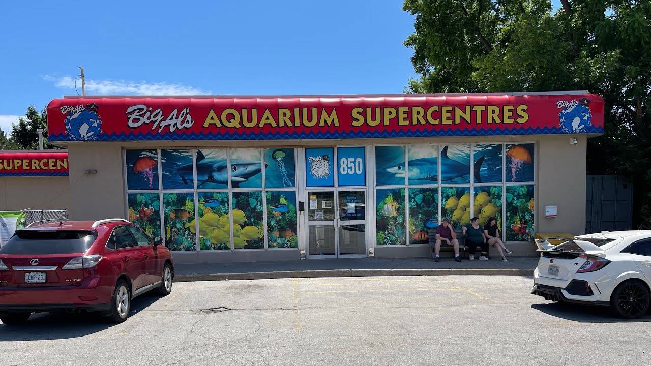 Exploring Mississauga's Massive Ornamental Fish Market in Ontario ...