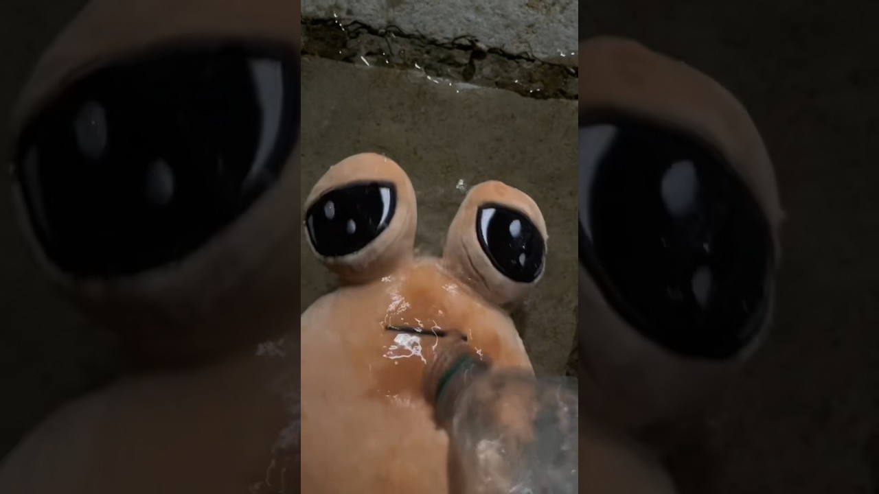 It’s time to drink water💦 #pou - YouTube