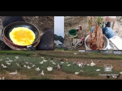 Mamulot tayo ng itlog sa pato an at luluto in,, at mag pindang tayo ng ...