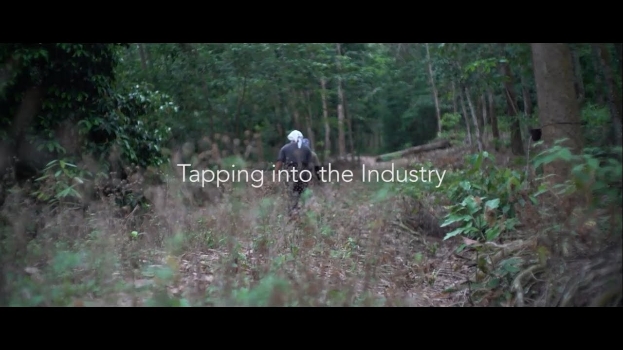 Documentary on Malaysian Rubber Tappers: Tapping into the Industry ...