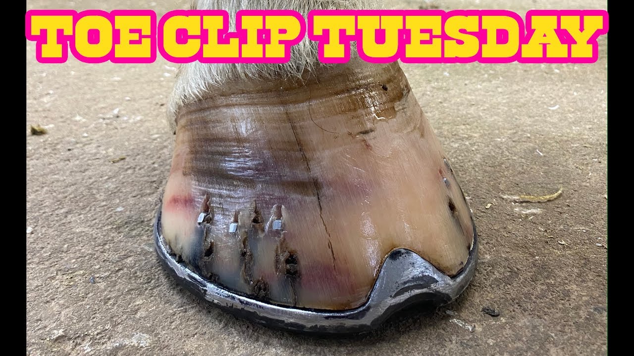 TOE CLIP TUESDAY!!! - YouTube