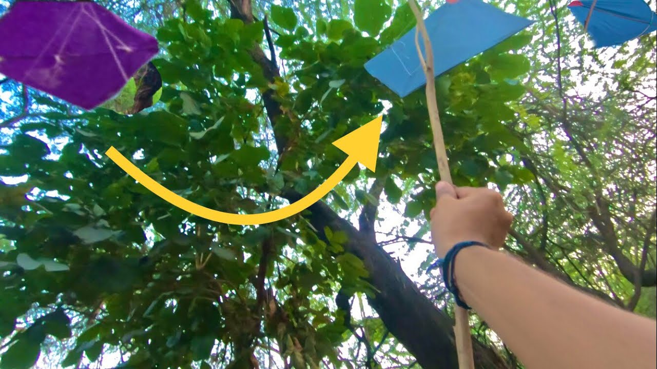 New Trick to caught kite in forest kite flying - YouTube