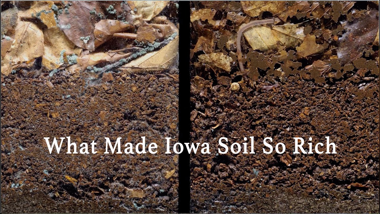 What Made Iowa Soil So Rich - YouTube