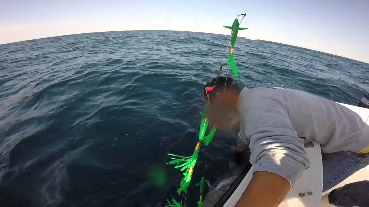 Bluefin Tuna off Block Island - YouTube