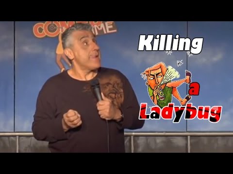 Killing a Ladybug at 90 MPH! - Ed Regine Comedy Time - YouTube