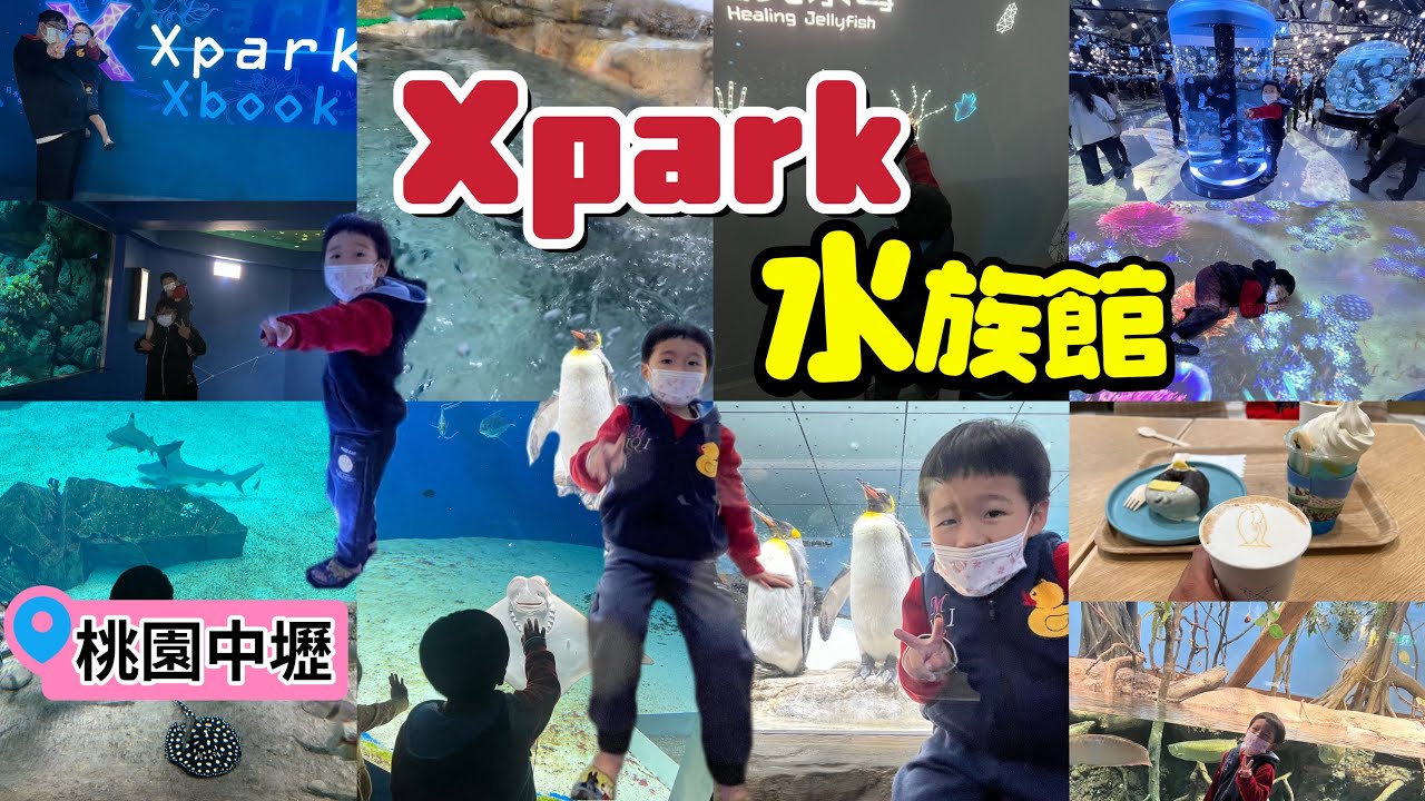 【桃園中壢】Xpark水族館 - YouTube