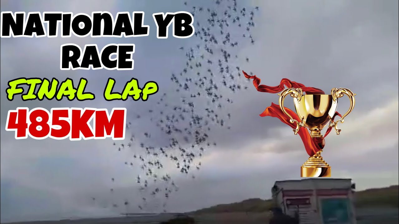 NATIONAL YB RACE 485KM INVERCARGILL FINAL LAP🏁🏁 - YouTube