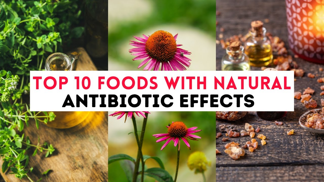 Top 10 Foods with Natural Antibiotic Effects : Boost Your Immunity ...