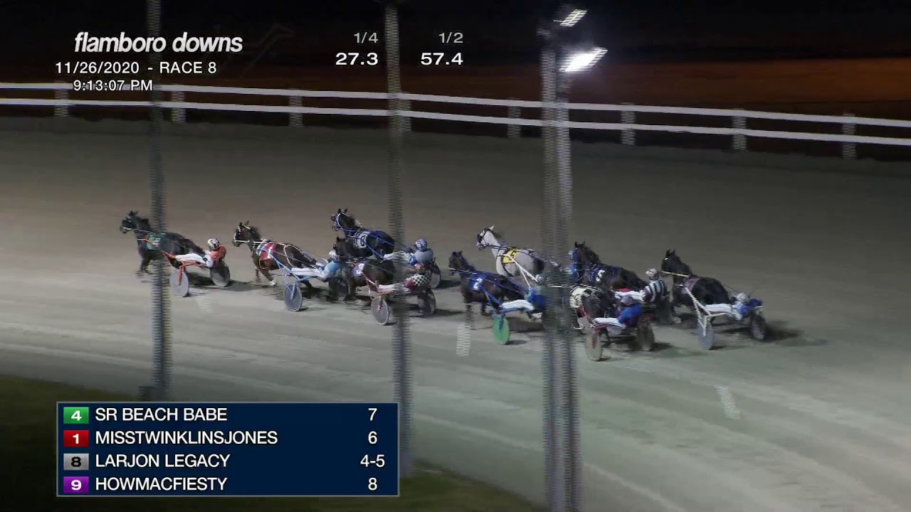 NOV 26,2020-RACE 8-FLAMBORO DOWNS - YouTube