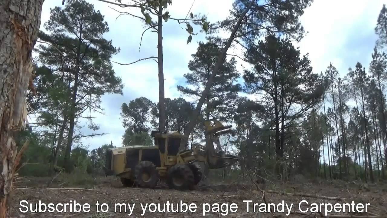 Massive Forked Log - YouTube