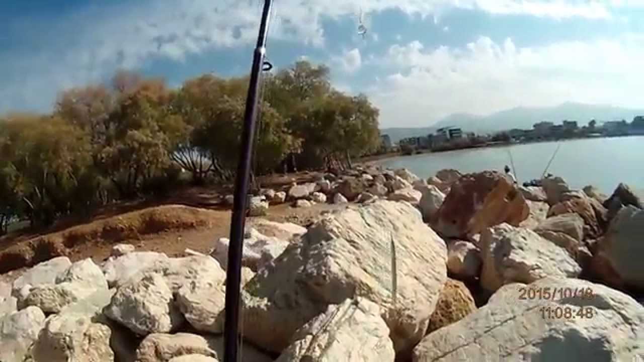 ψαρεμα Ζαργανες και αλλα ψαρια - YouTube