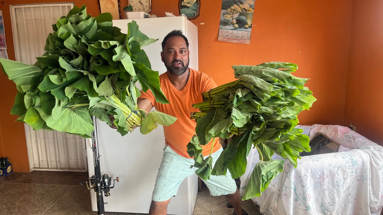 Cooking in Trinidad - YouTube