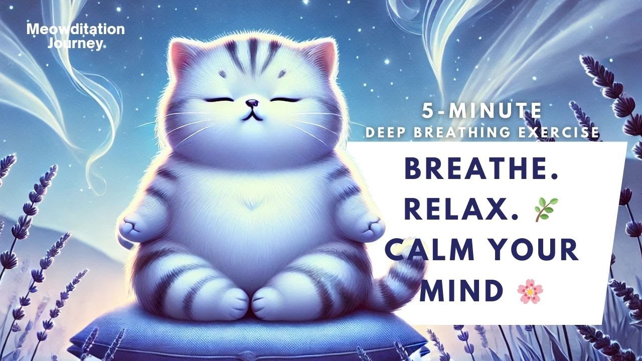 Find Your Calm: 5-Minute Deep Breathing Exercise for Stress Relief ...