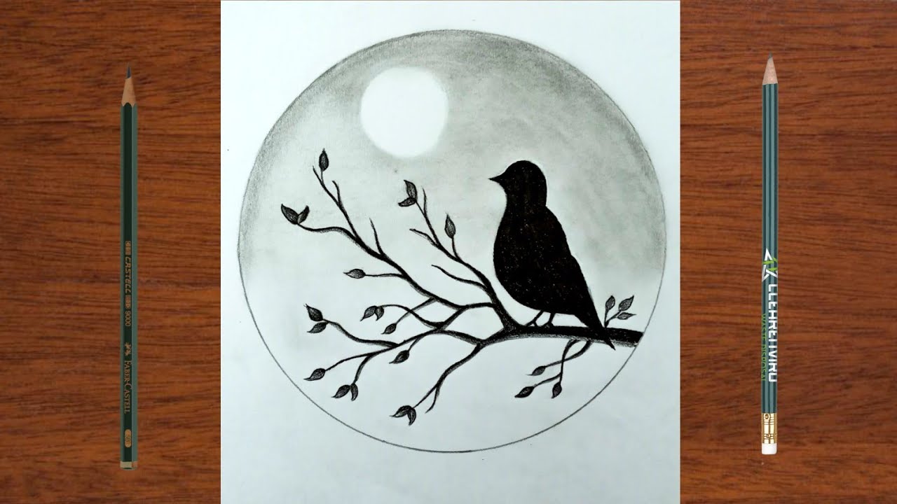 How to Draw Bird inside the Circle | Pencil Drawing in a Circle | Step ...