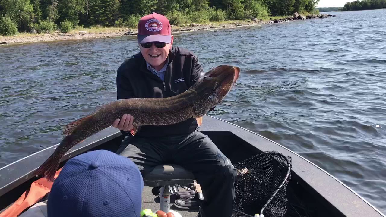 Part 2 Bruce & fish photo - YouTube