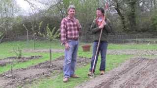 HOW TO GROW FLOWERS WITH HIGGLEDY GARDEN.COM