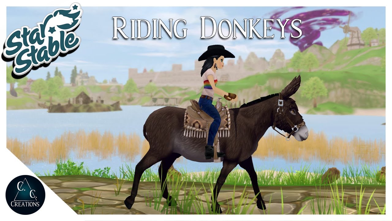 Buying and Riding Donkeys - A Star Stable Idea - YouTube