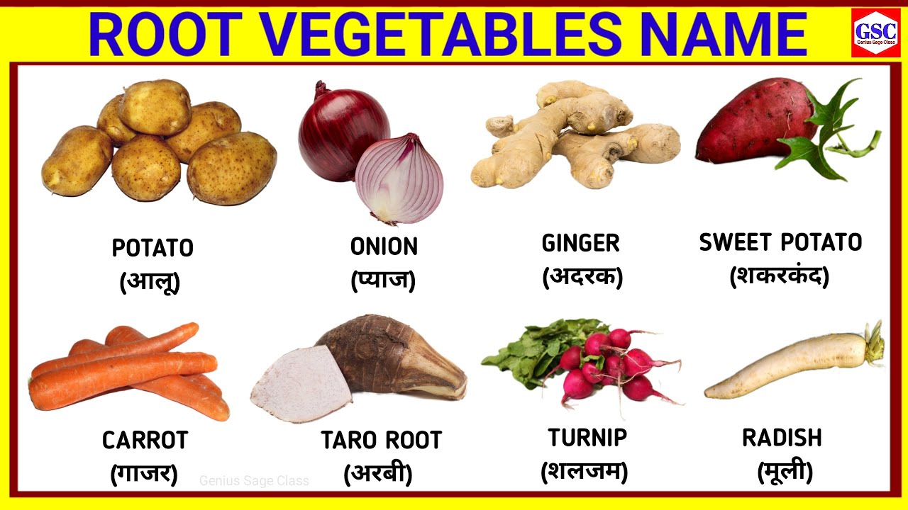 Root Vegetables Name | Root Vegetables Name in English and Hindi with ...