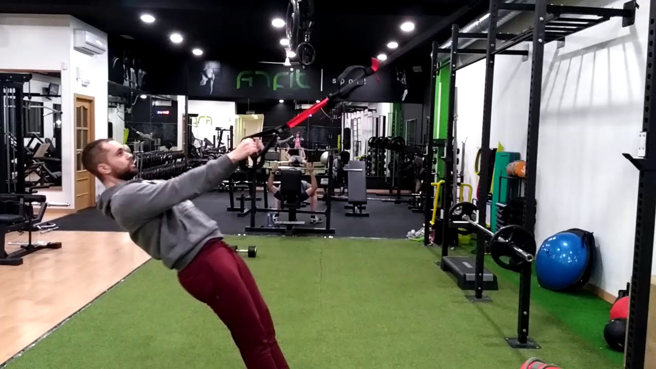 Remo invertido en TRX - YouTube