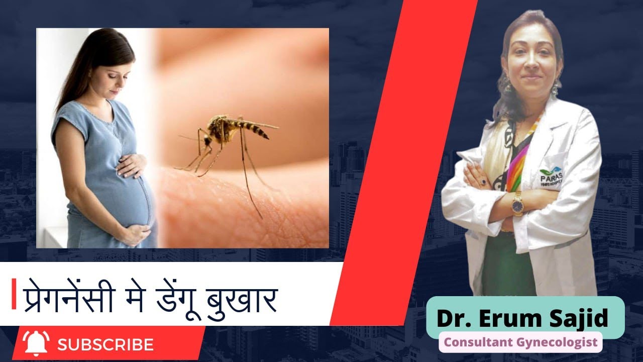 Dengue in Pregnancy| Dr. Erum Hassan Clinic|Best Gynecologist in Patna ...