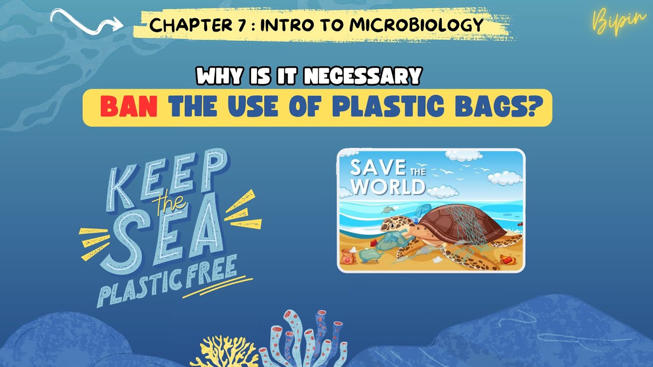 Why is it necessary to ban the use of plastic bags? #science_2 #class ...