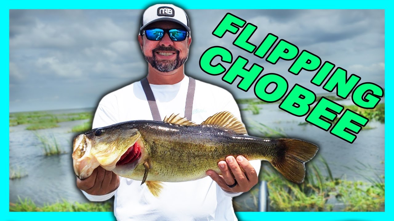 Flipping & Punching Mats For BIG BASS! Bass Fishing Lake Okeechobee ...