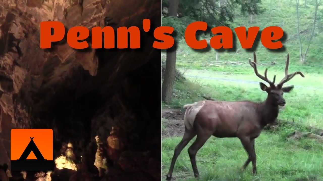 Penn's Cave & Wildlife Park Video Tour - Centre Hall, PA - YouTube