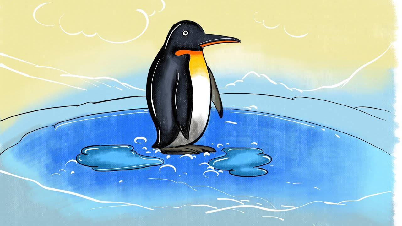 How To Draw Penguin Step By Step Process YouTube How To Draw Penguin Step By Step Process YouTube