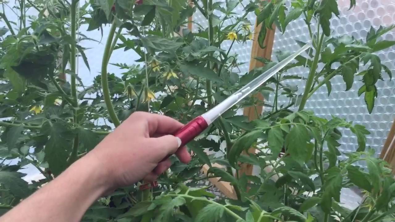 Mater update and pollinating wand - YouTube