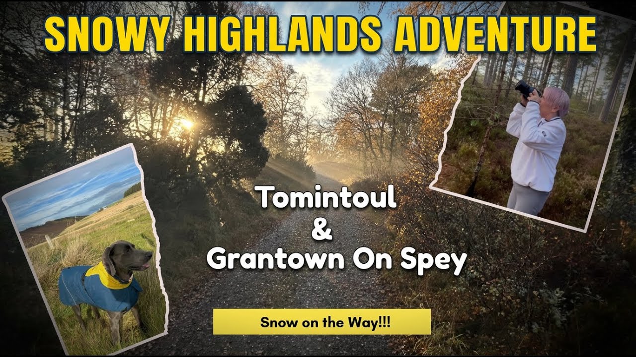 Exploring Tomintoul & Grantown | Snow, Deer, Highland Cows & Vanlife ...