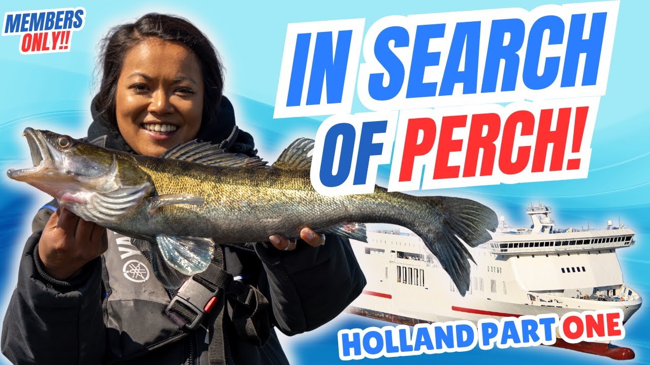 IN SEARCH OF PERCH - May Potter - Holland Road-trip PART ONE - MEMBERS ...