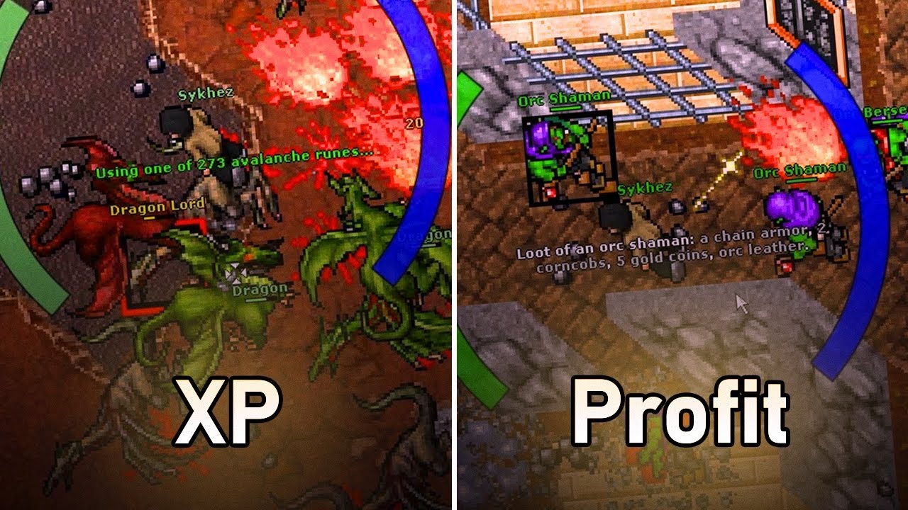 Tibia | Melhor XP Vs. Melhor Profit Da Área Free - YouTube