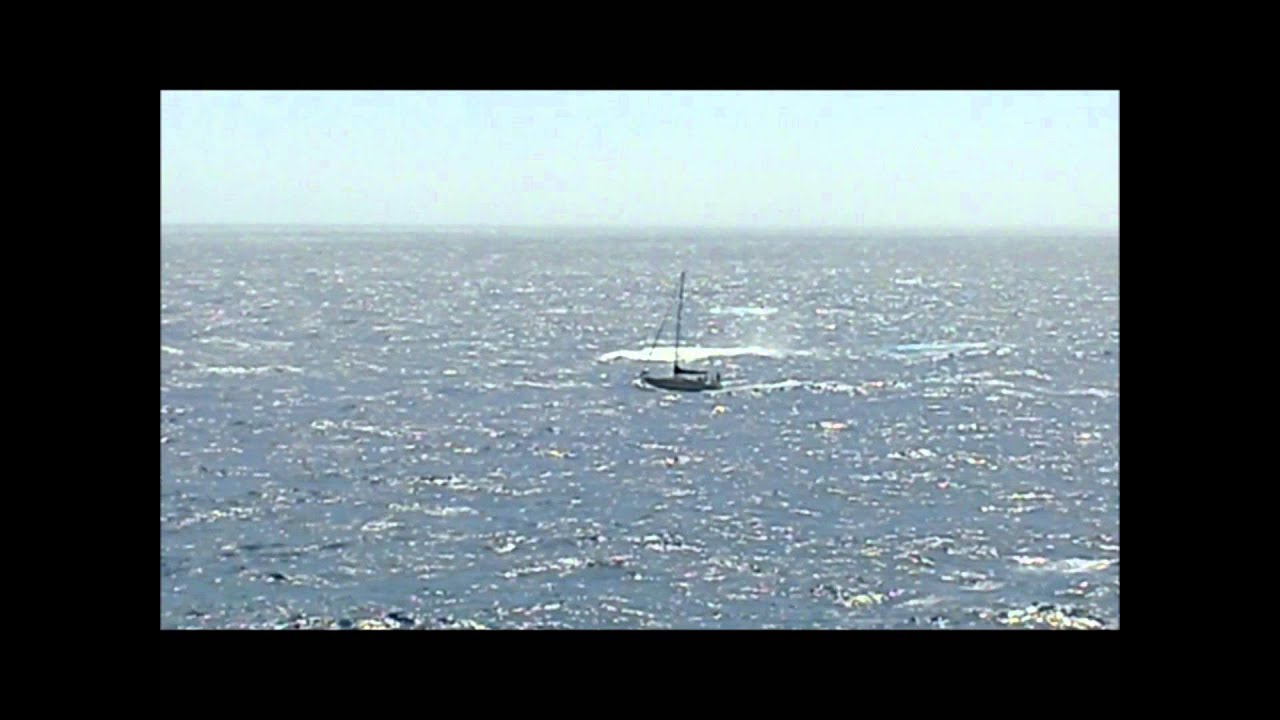 High-Flying Humpback Whales off Hanauma Bay-Oahu, Hawaii - YouTube