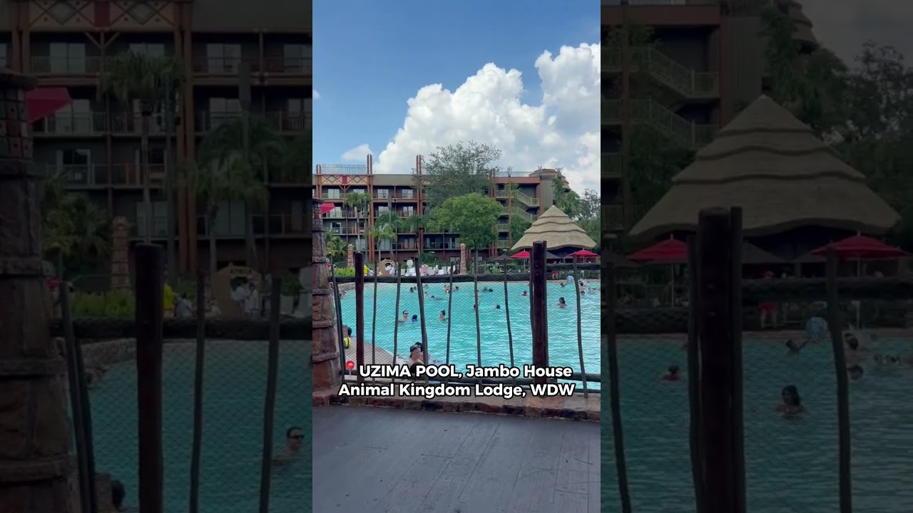 Animal Kingdom Lodge Pool Slide