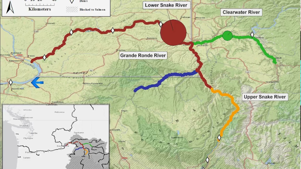 Sonification of Salmon Migration in the Snake River - YouTube