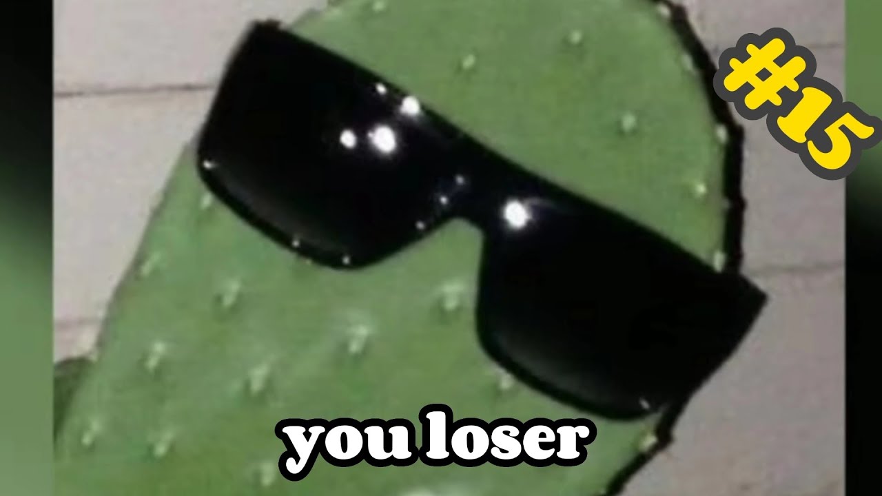 Shitposting Copilation [15] You loser - YouTube