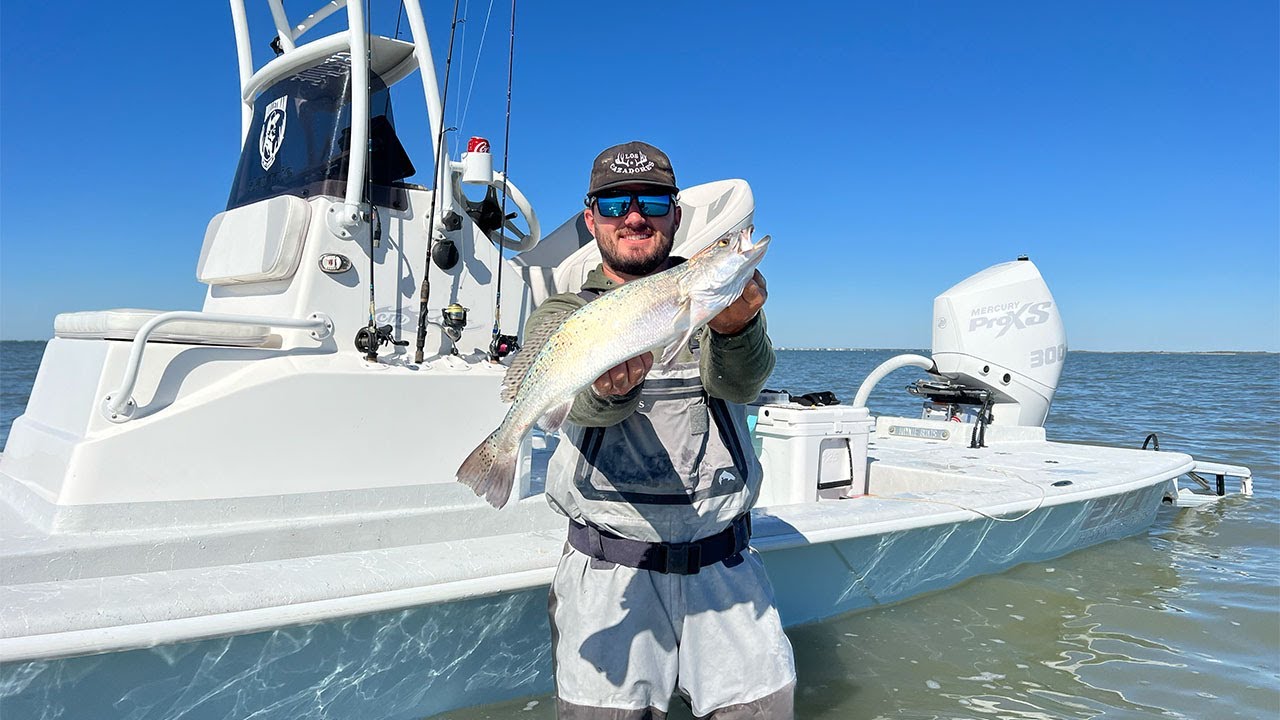 This Bait Catches MORE TROUT {Catch Clean Cook} Texas Coast Wade ...